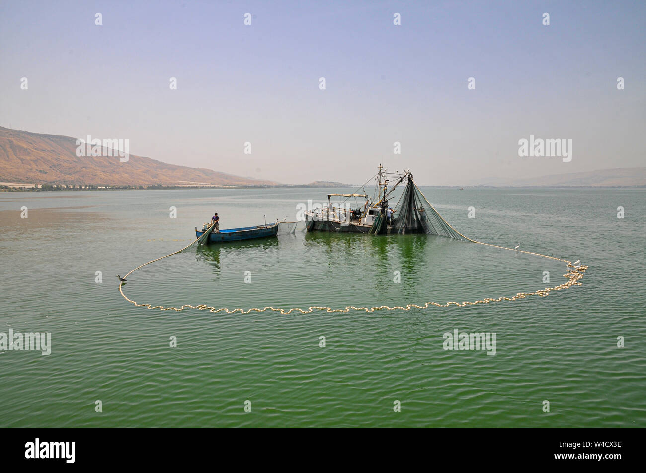 fishing boat and dinghy rounding up fish in a net the Sea of Galilee ...