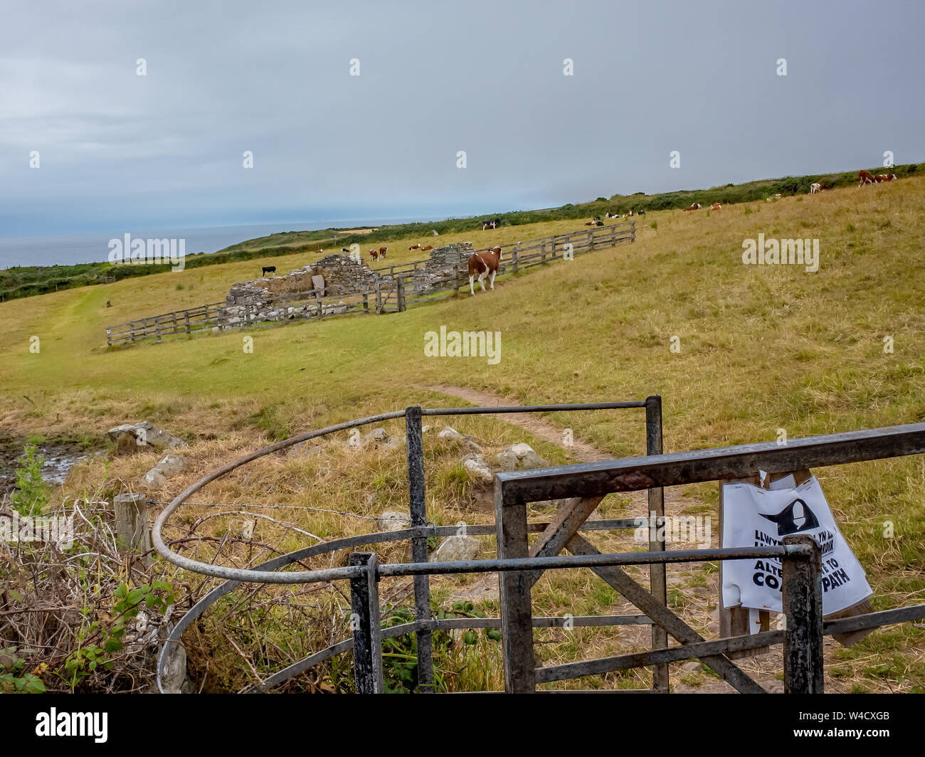 St. non's chapel wales hi-res stock photography and images - Alamy