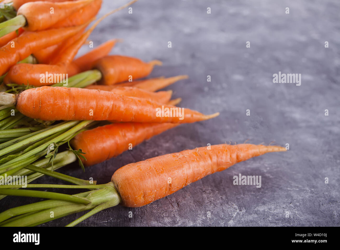 Young mini carrot in row over concreate background. Flat lay, space ...