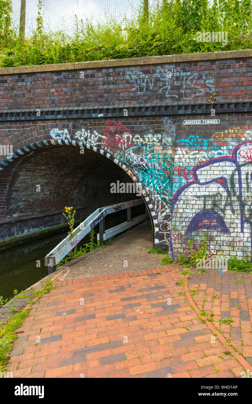 The Ashted Tunnel and Lock on the Digbeth Branch Canal, wild flowers ...