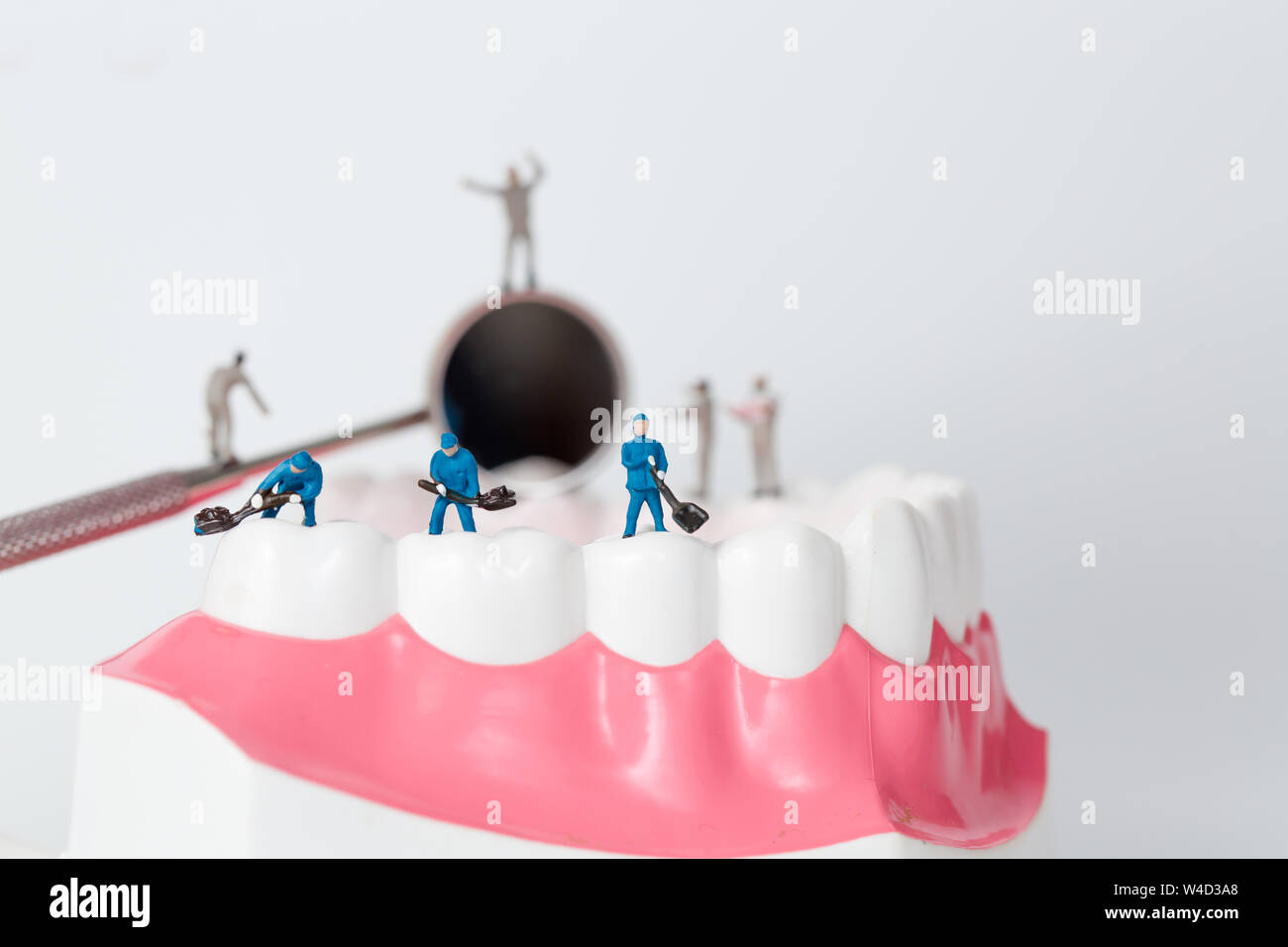 Tooth model hi-res stock photography and images - Alamy