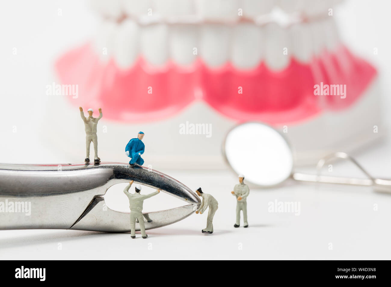 People to clean tooth model on white background,miniature Stock Photo ...