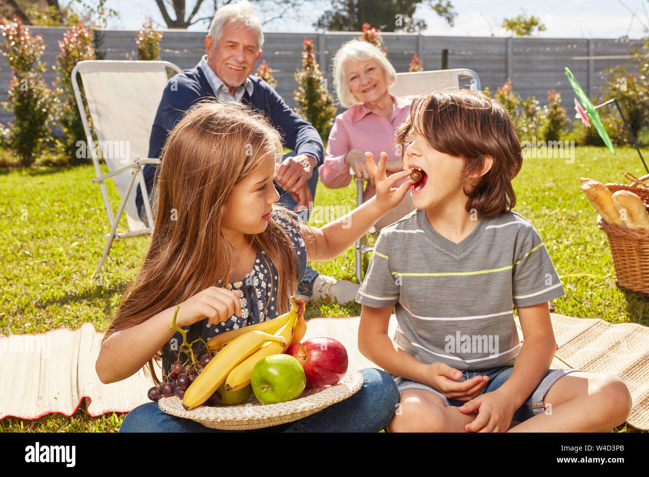 Girl feeds brother with grapes at the picnic in the summer in the ...