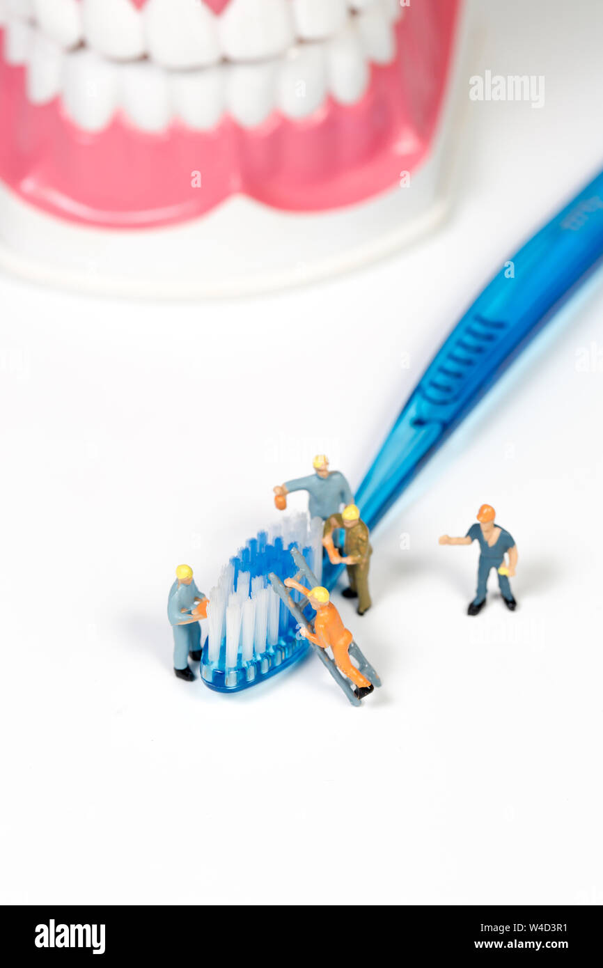 people and toothbrush on white background,miniature Stock Photo - Alamy