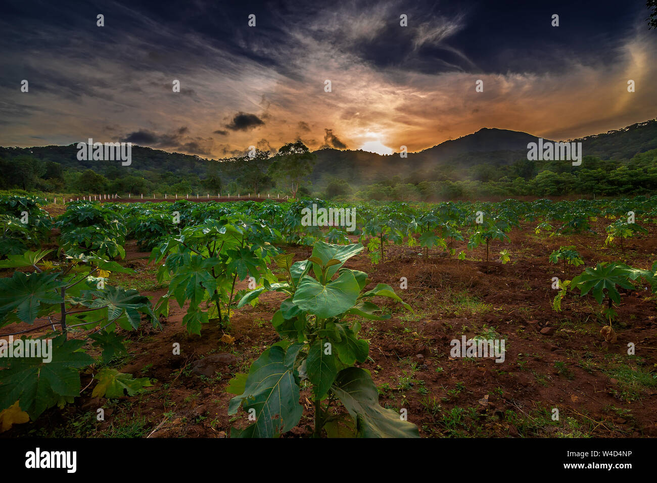 Beautiful Tamil Landscapes view Stock Photo - Alamy