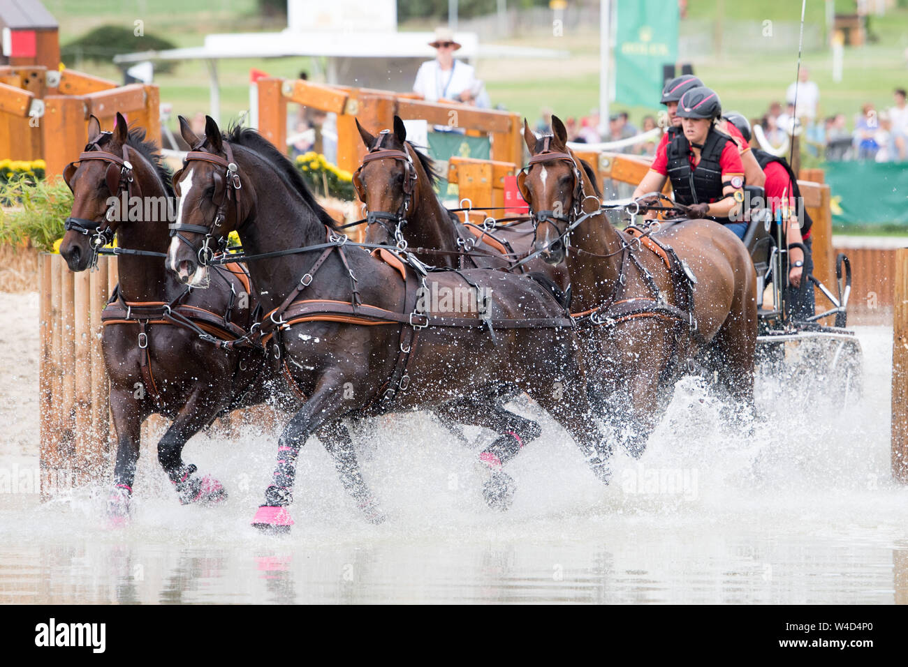Anna SANDMANN, GER, in the water, action, Schwartz GmbH prize, marathon ...