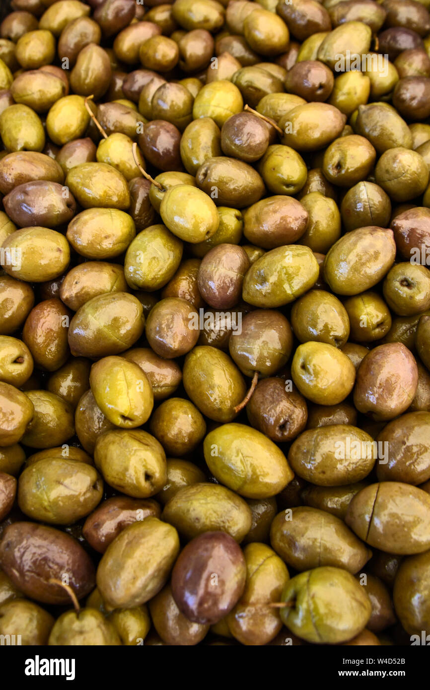 Sale of fresh olive groves in Greece. Olives of all kinds can be tasted ...