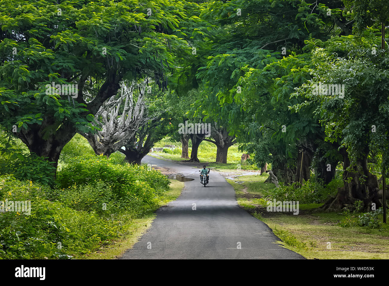 Beautiful Tamil Landscapes view Stock Photo - Alamy