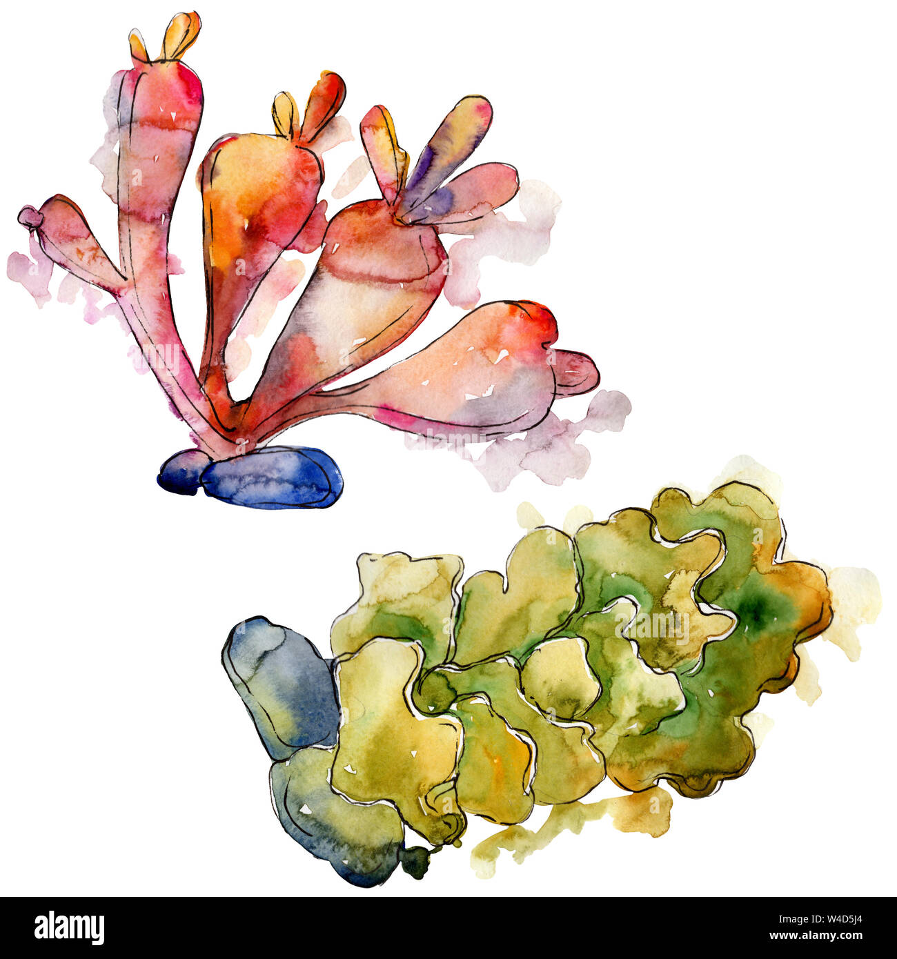 Colorful aquatic underwater nature coral reef. Watercolor background ...