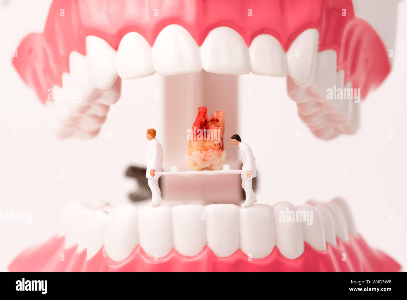 Dental care model miniature hi-res stock photography and images - Alamy