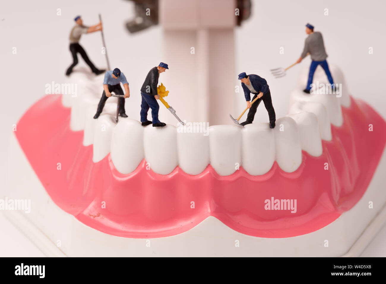 miniature people and dental model,dental care concept Stock Photo - Alamy