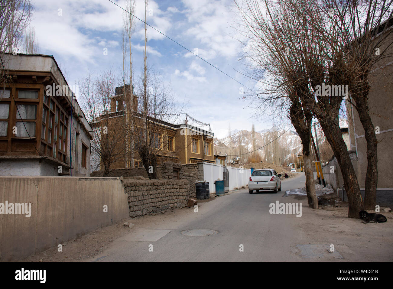 View and landscape and cityscape with buildings inside of Leh Ladakh ...