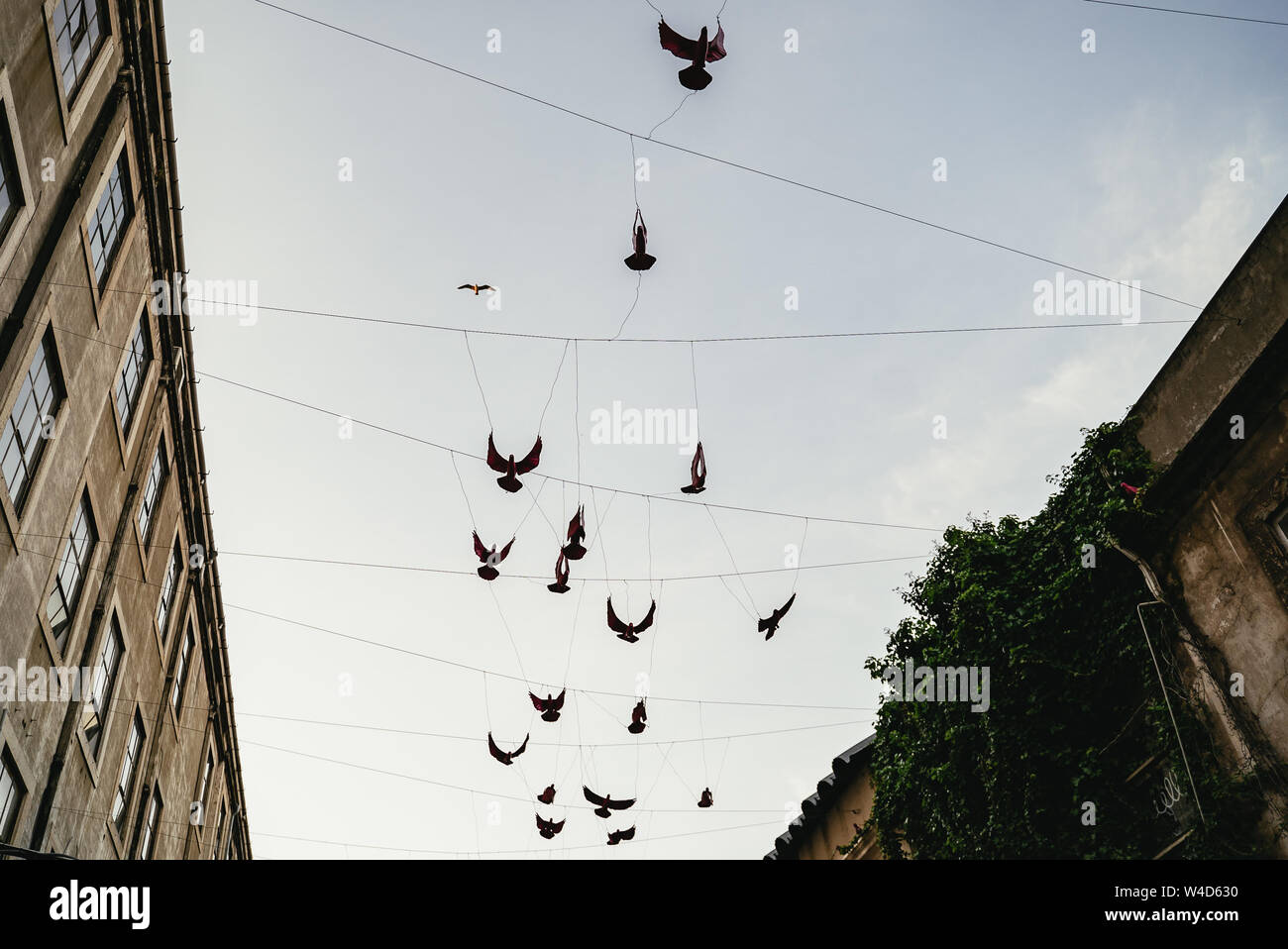 Flying between buildings hi-res stock photography and images - Alamy