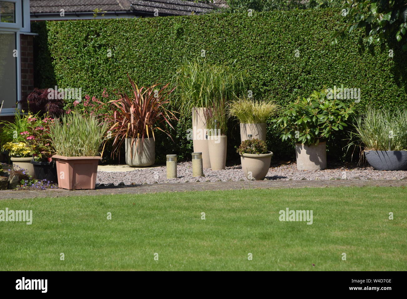 a variety of grasses in containers Stock Photo - Alamy