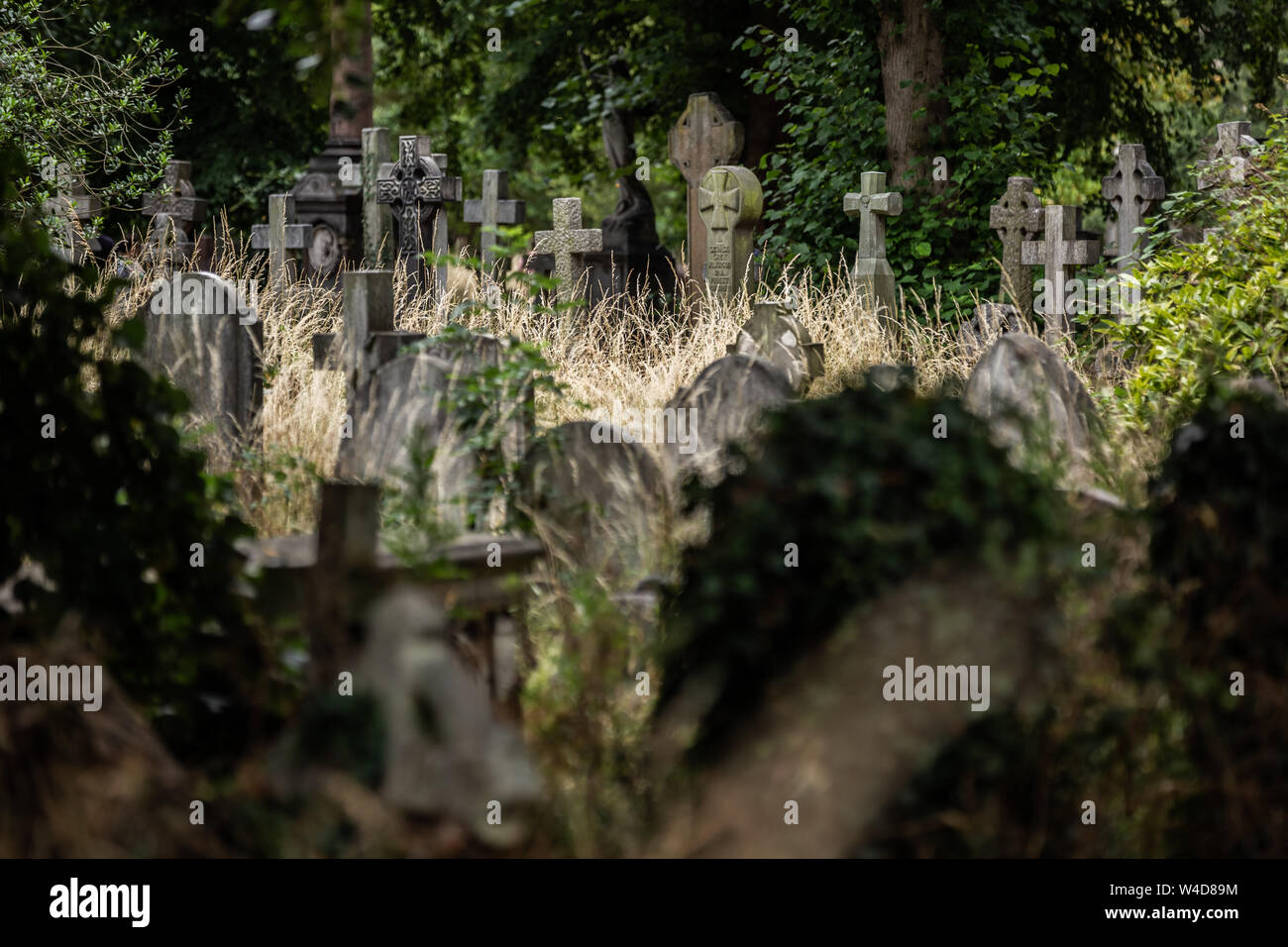 Brompton Cemetery Open Day. One of the ‘Magnificent Seven’ cemeteries ...