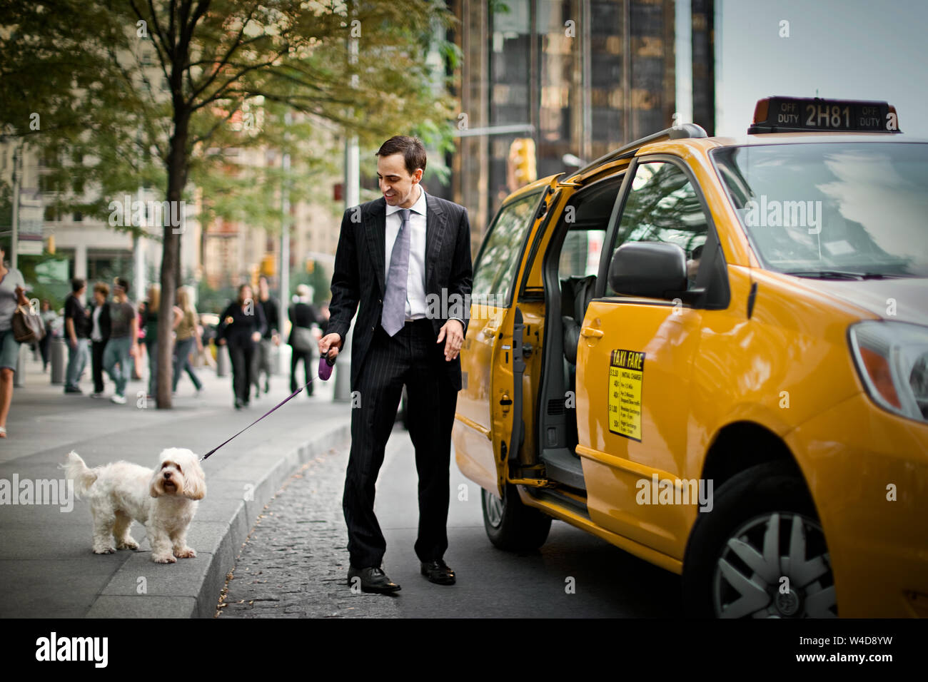 Mid-adult businessman getting into a taxi with a dog Stock Photo - Alamy