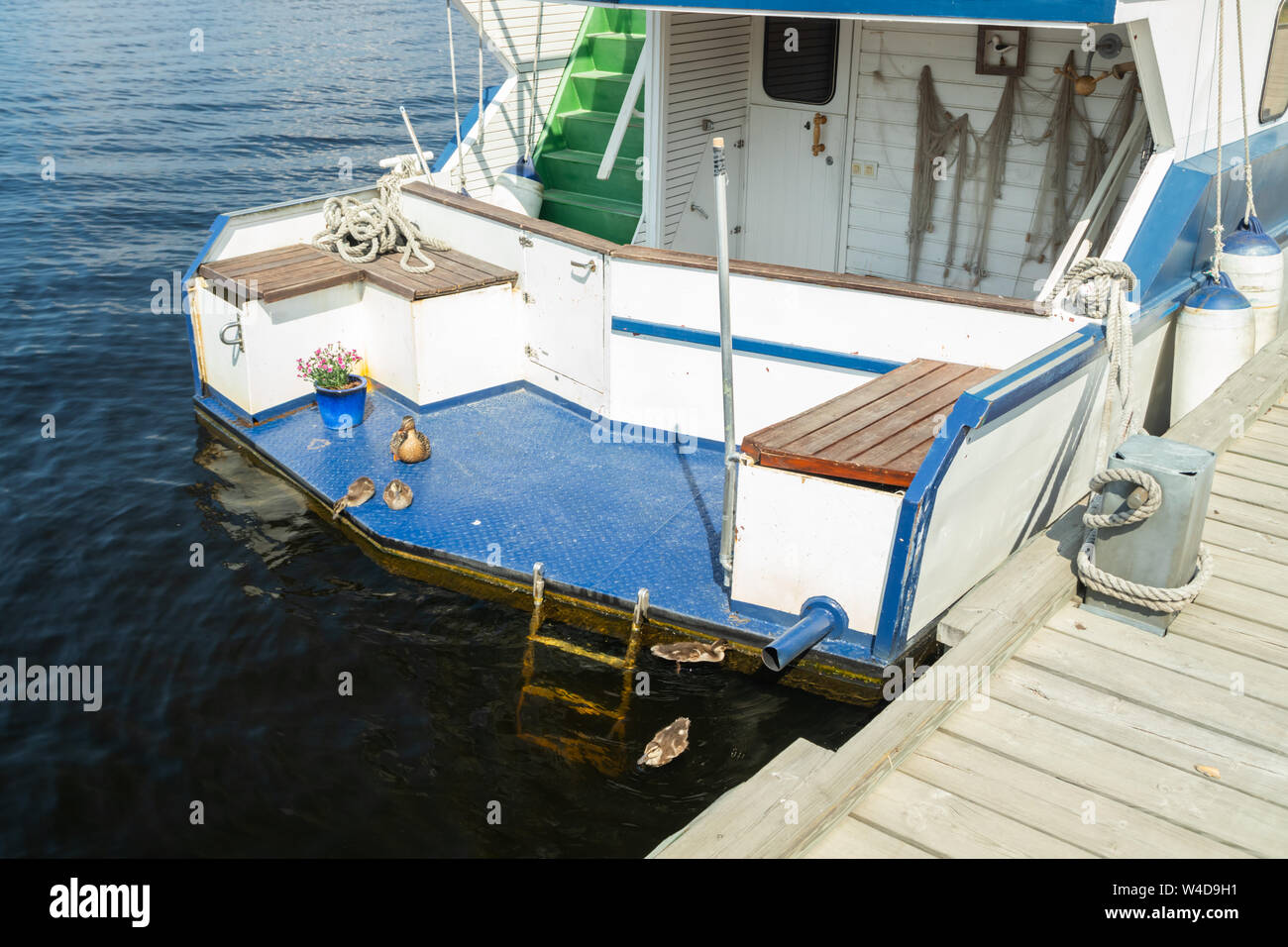 Ducks and ducklings are resting on a yacht stern Stock Photo - Alamy