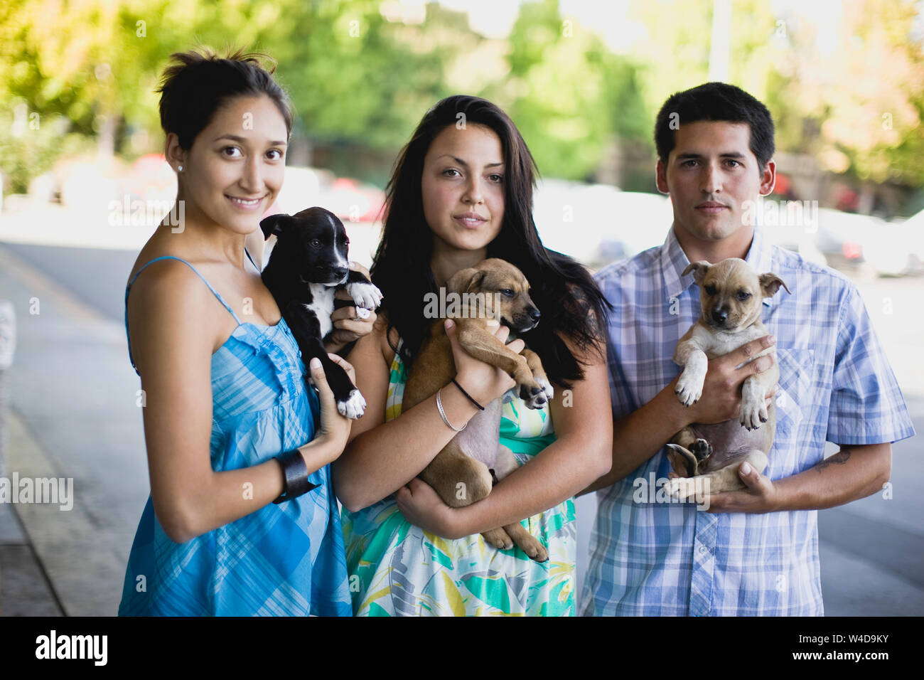 Three people each holding a cute puppy Stock Photo - Alamy