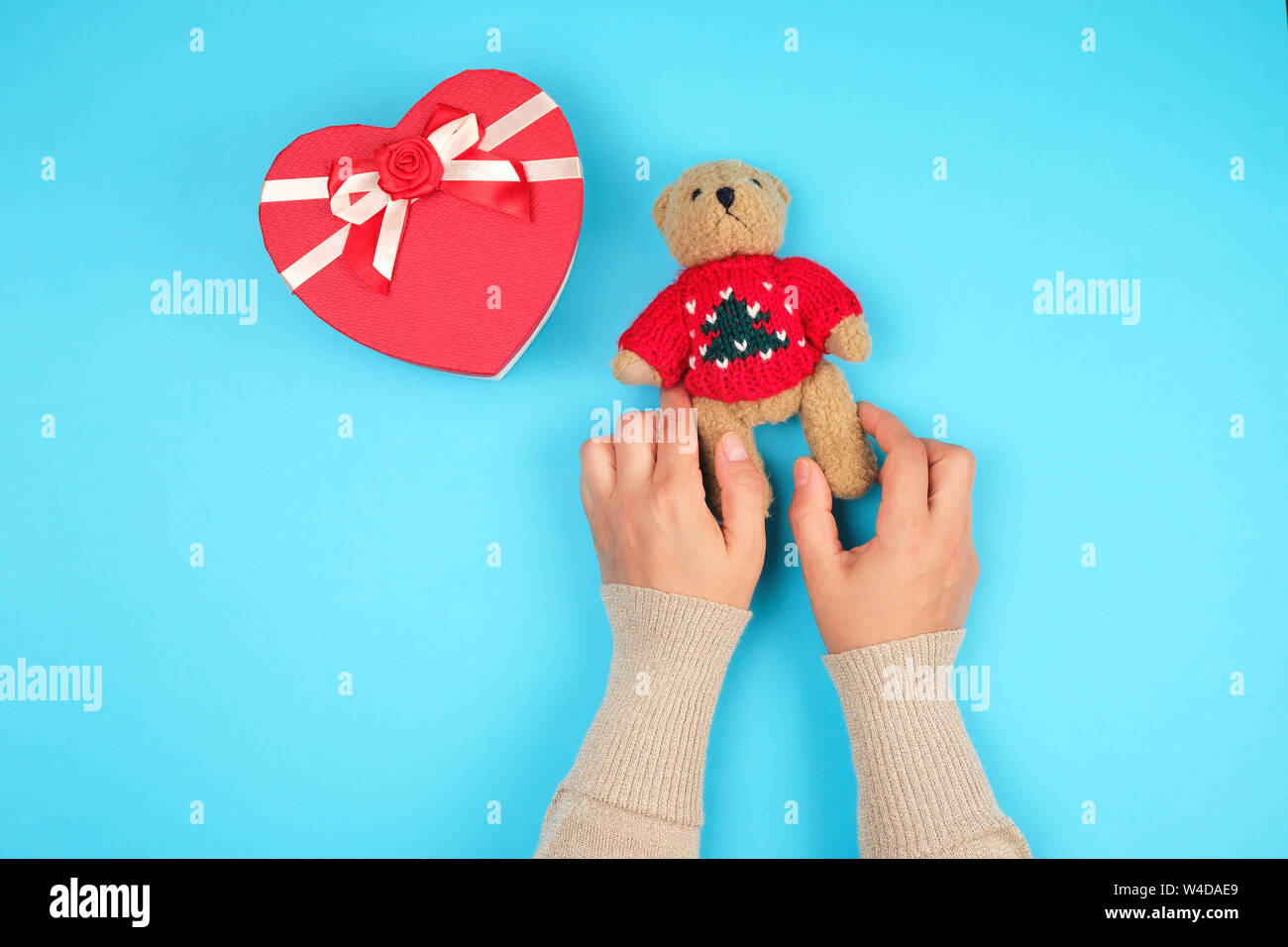 two female hands hold a small toy teddy bear on a blue background, top ...