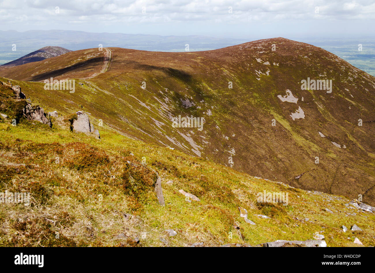 Mountain trail along the main ridge of Knockmealdown Mountains with a ...