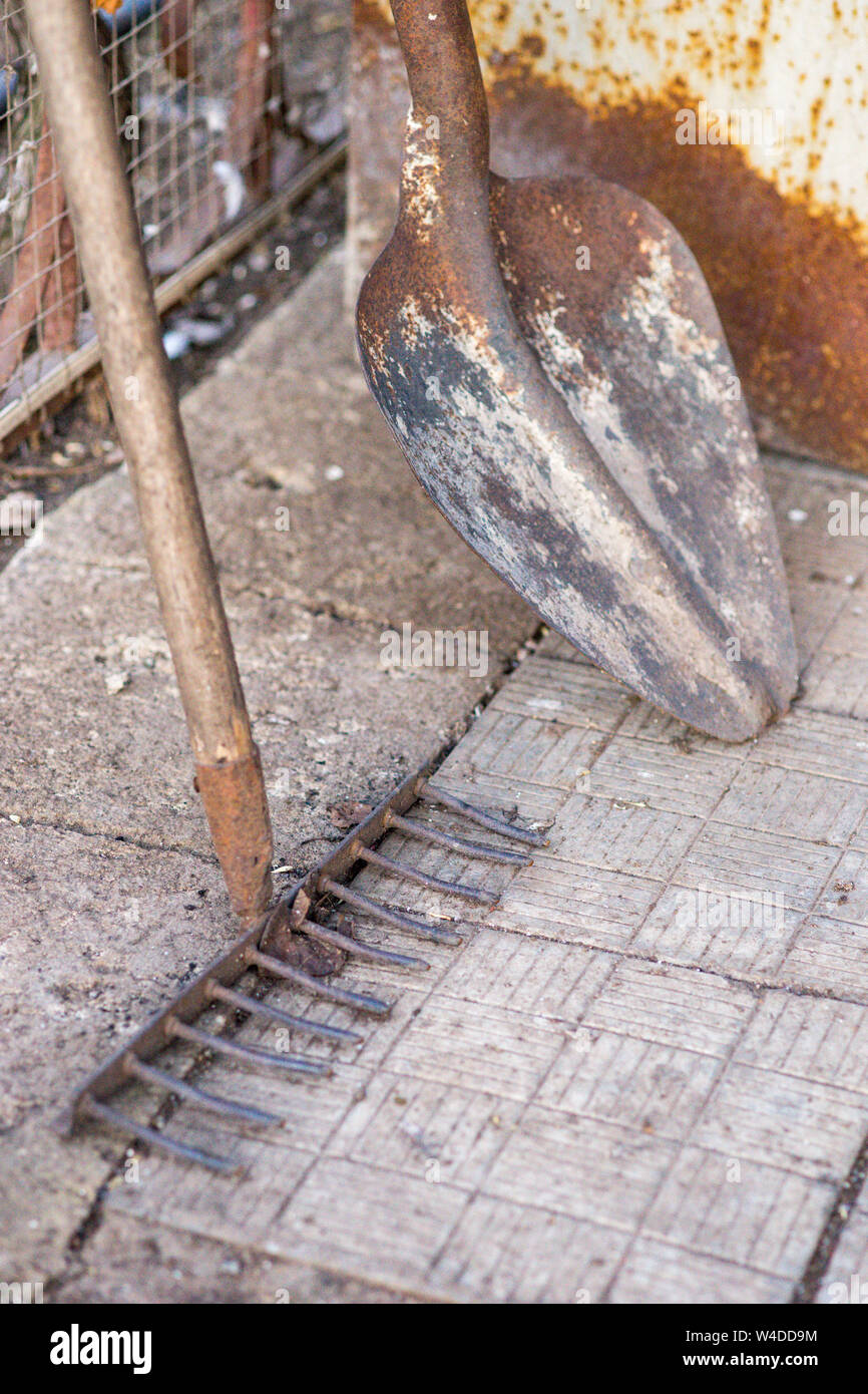 Old retro shovel and rake on the tiled floor of the yard. Gardening ...