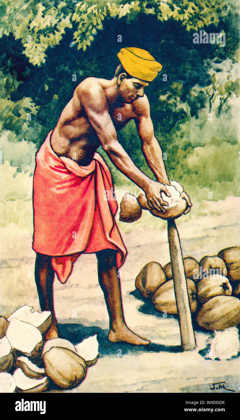 Coconut husking hi-res stock photography and images - Alamy