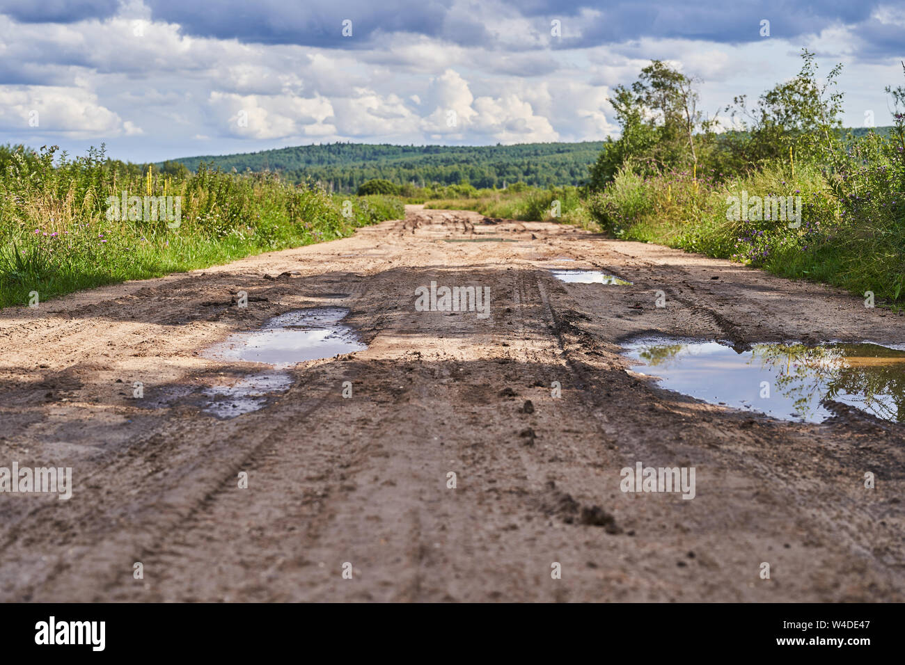 Old wide sandy road with a rolled track after the rain Stock Photo - Alamy