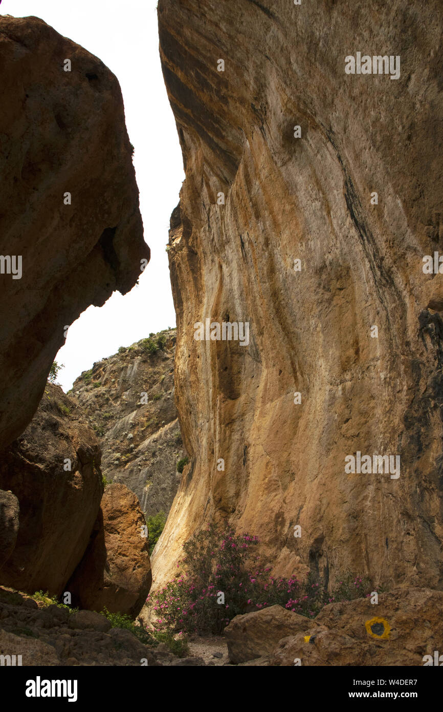 Agia Irini Gorge High Resolution Stock Photography and Images - Alamy