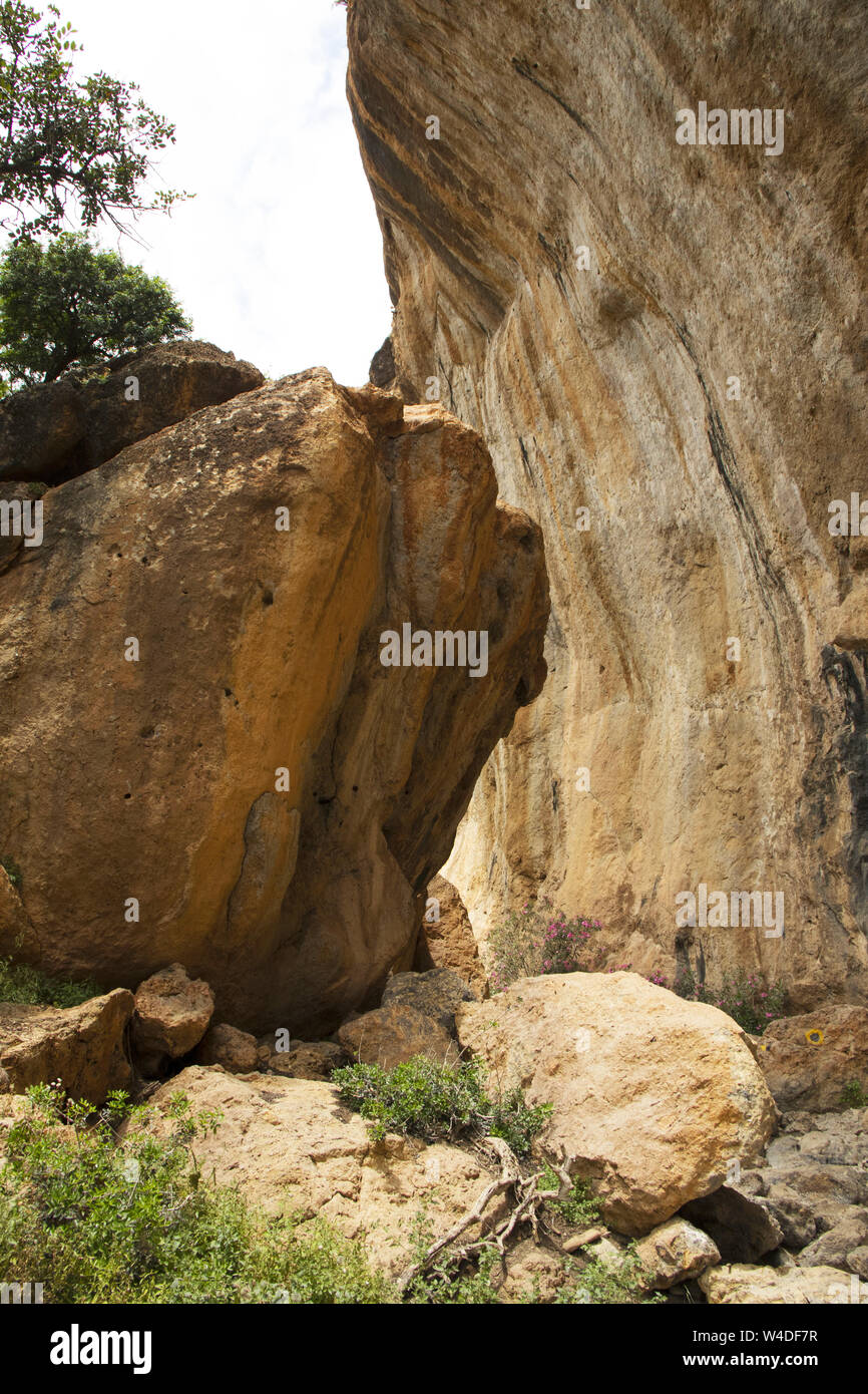 Agia Irini Gorge, near Sougia, south west Crete, Greece Stock Photo - Alamy
