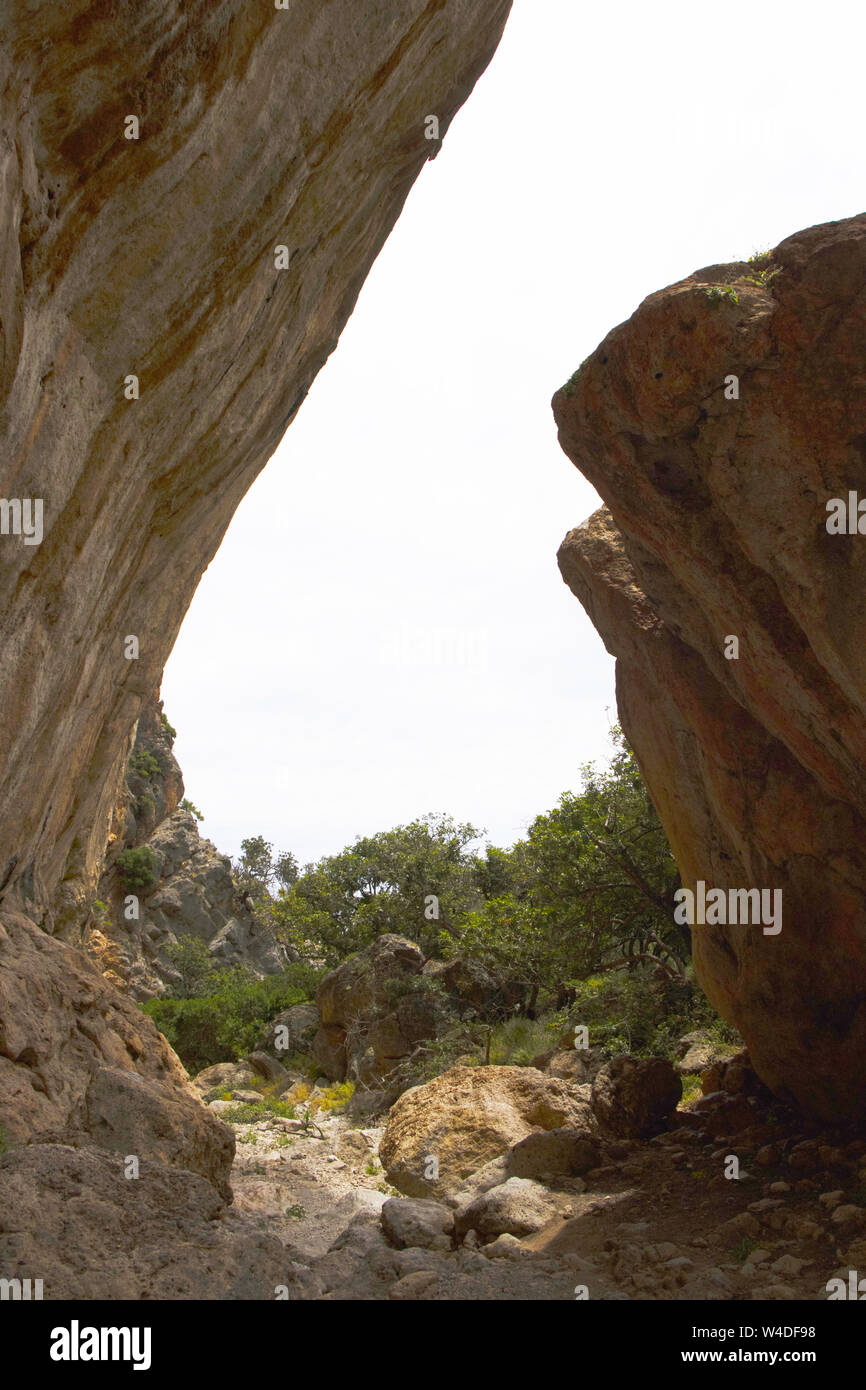 Agia Irini Gorge, near Sougia, south west Crete, Greece Stock Photo - Alamy