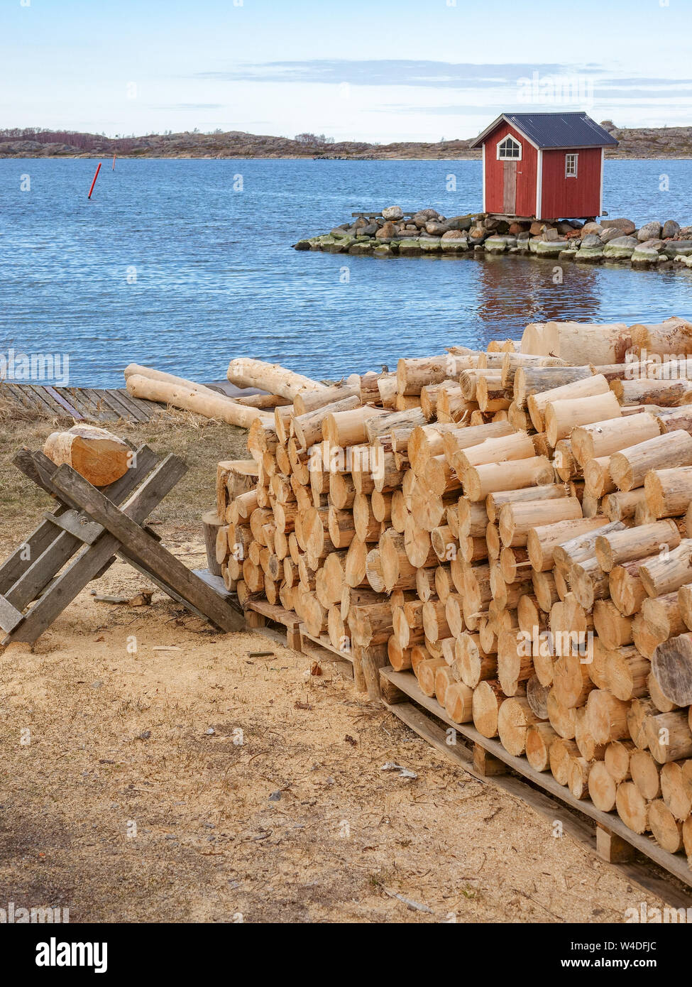 trees drying up Stock Photo - Alamy
