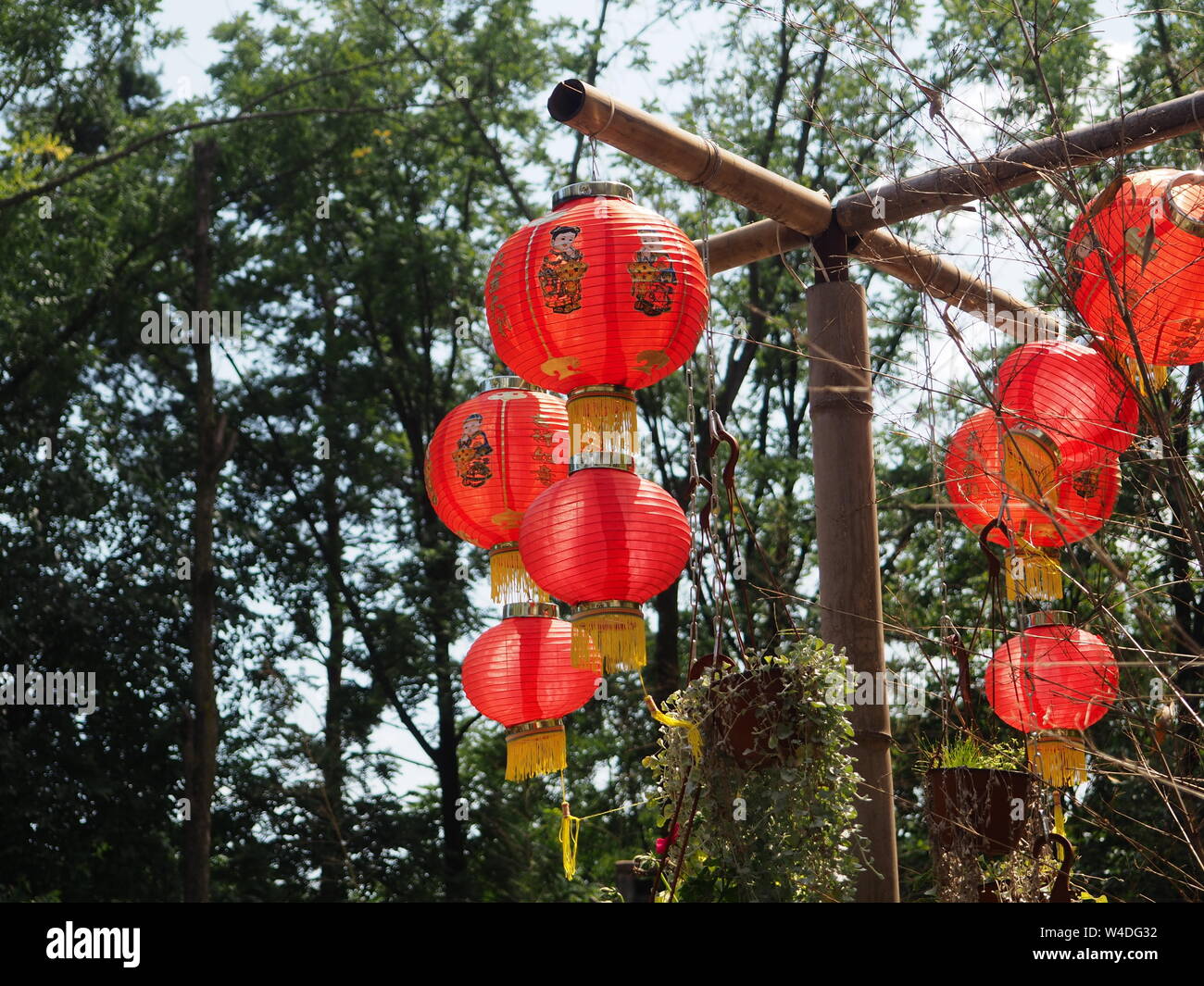 the red Chinese paper lanterns are decorated as the symbol for lucky ...