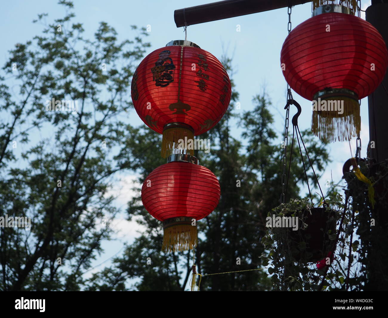 the red Chinese paper lanterns are decorated as the symbol for lucky ...