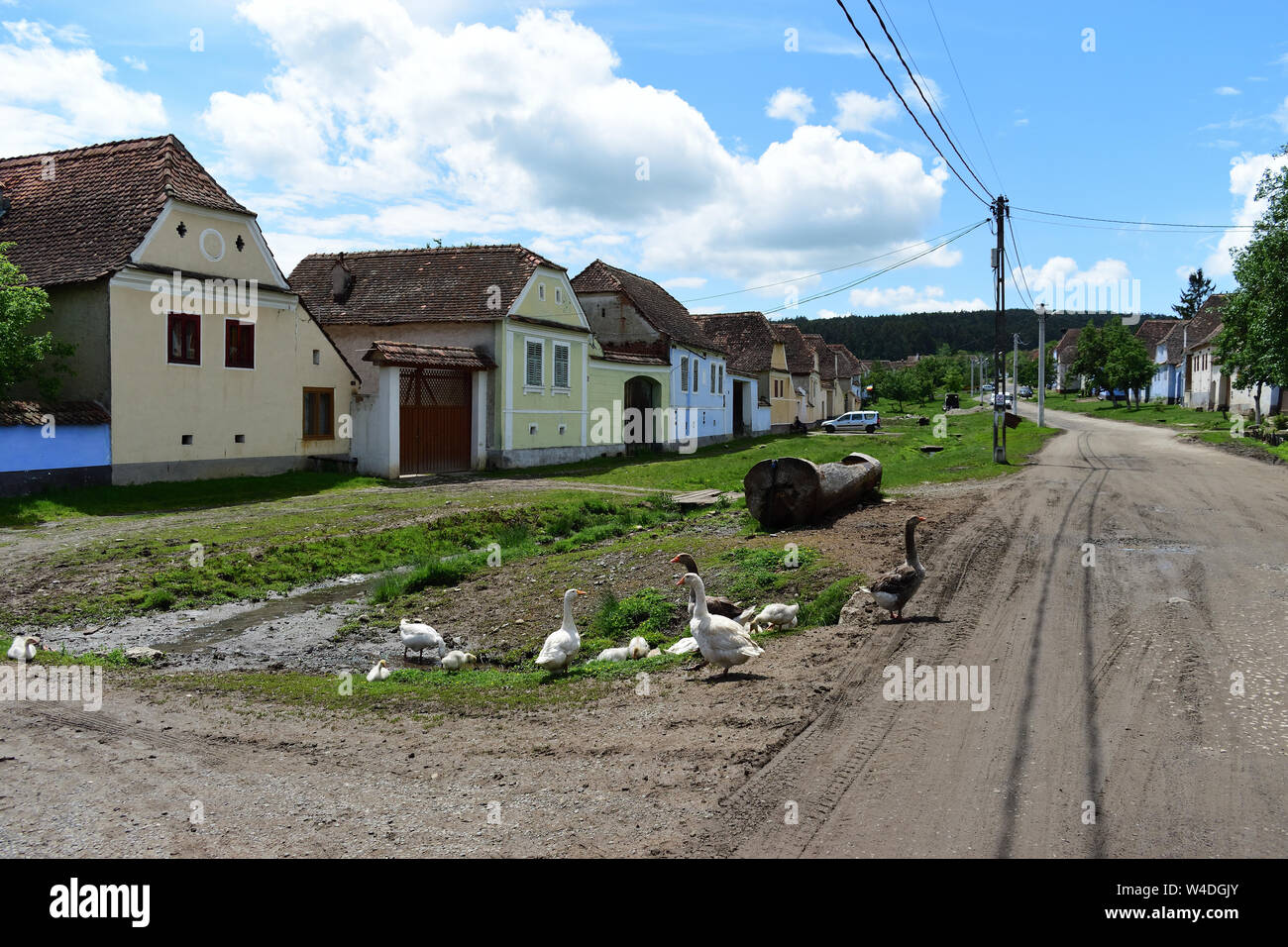 Time stay still in the old village - the gees are watching you too ...