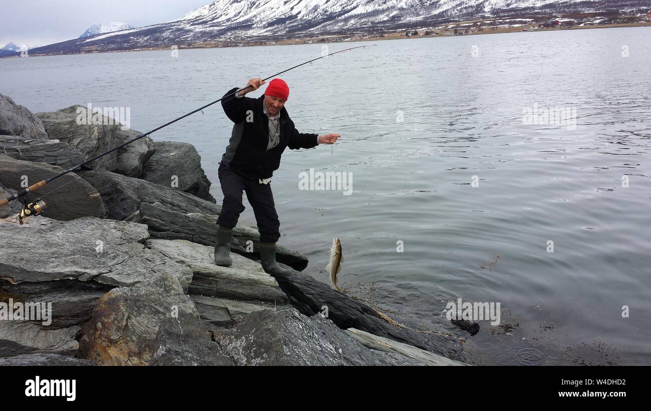 Huge cod fish hi-res stock photography and images - Alamy