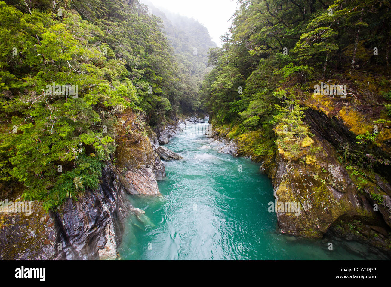 Blue Pools Walk in New Zealand Stock Photo - Alamy