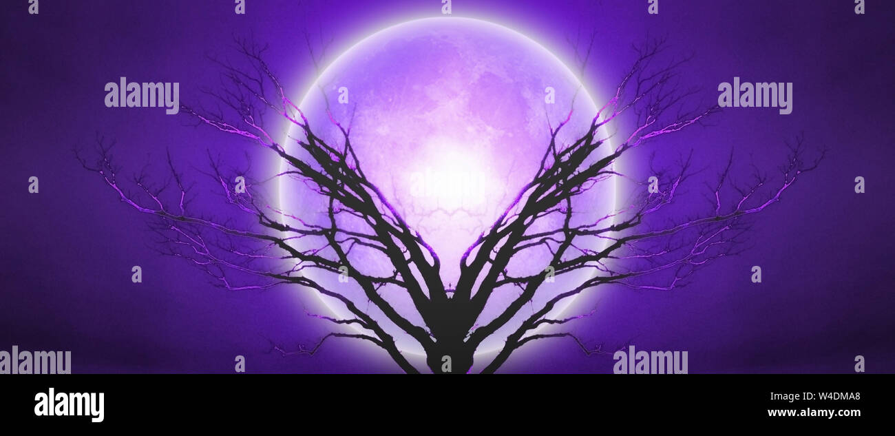 Mystic tree in moonlight Stock Photo - Alamy