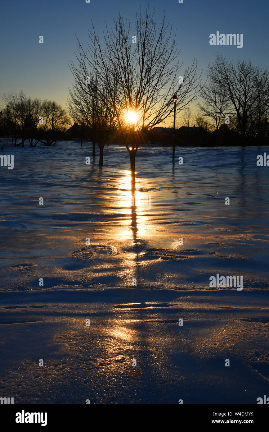 Frozenpark hi-res stock photography and images - Alamy