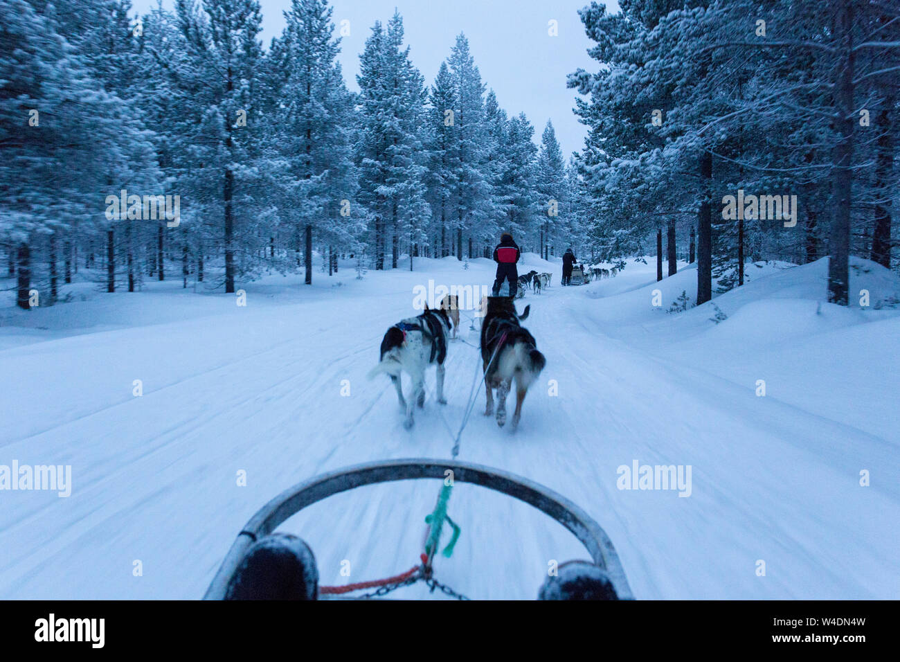 Saariselka finland sled hi-res stock photography and images - Alamy