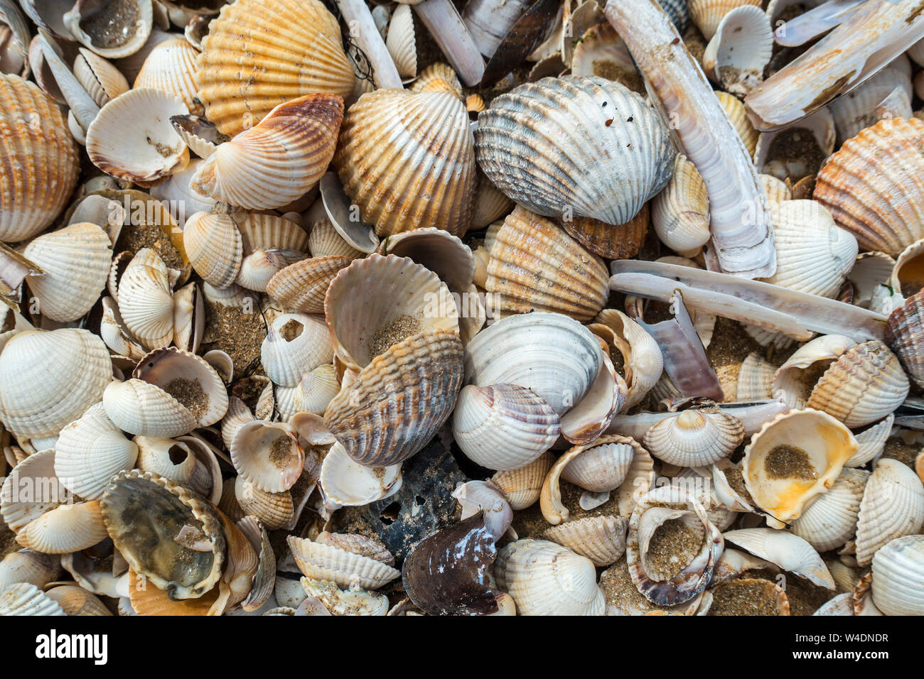 Fragmented line hi-res stock photography and images - Alamy