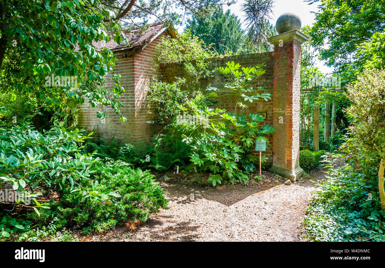 Old irishman hi-res stock photography and images - Alamy