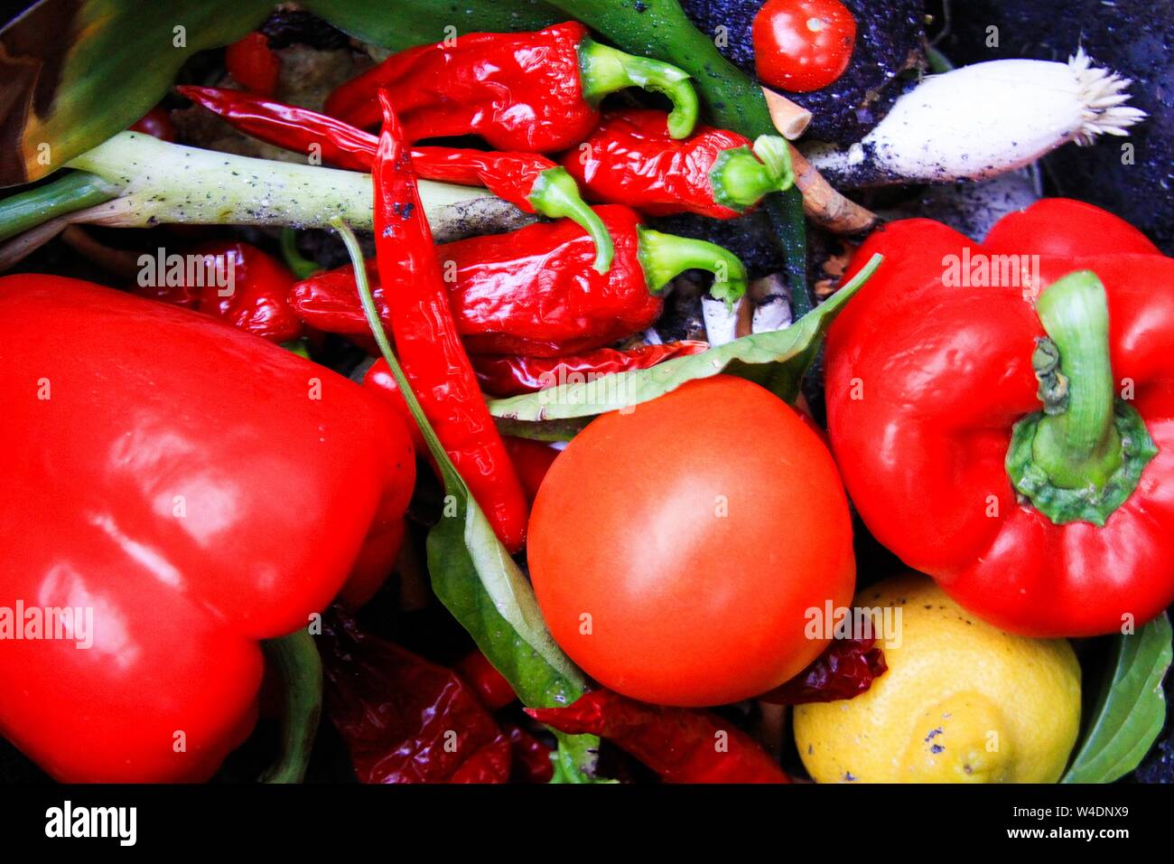 Wastage of fresh food: Close up of fresh red vegetable (bell pepper ...