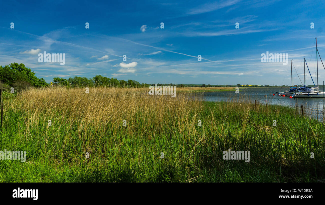 Reed landscape hi-res stock photography and images - Alamy