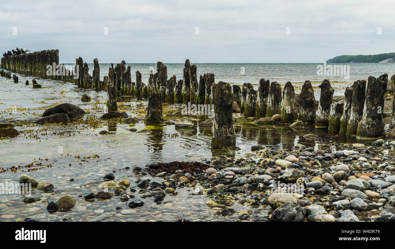 Baltic coast wooden breakwaters hi-res stock photography and images - Alamy