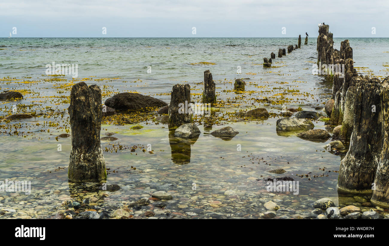 Coastal wooden breakwaters hi-res stock photography and images - Alamy