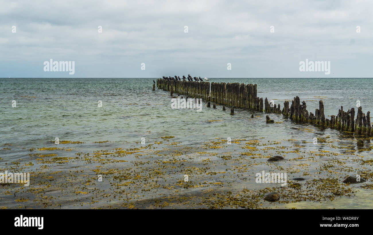 Coastal wooden breakwaters hi-res stock photography and images - Alamy