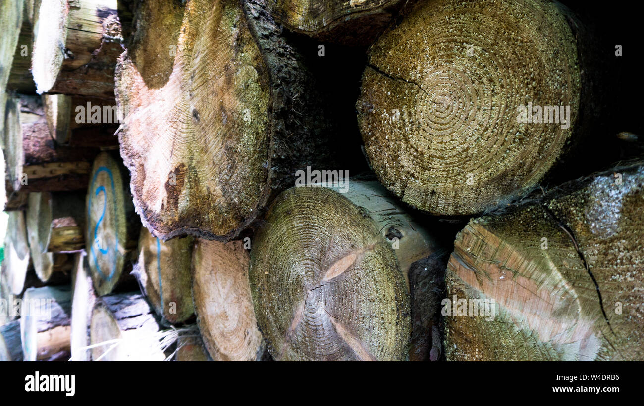 Round lumber hi-res stock photography and images - Alamy