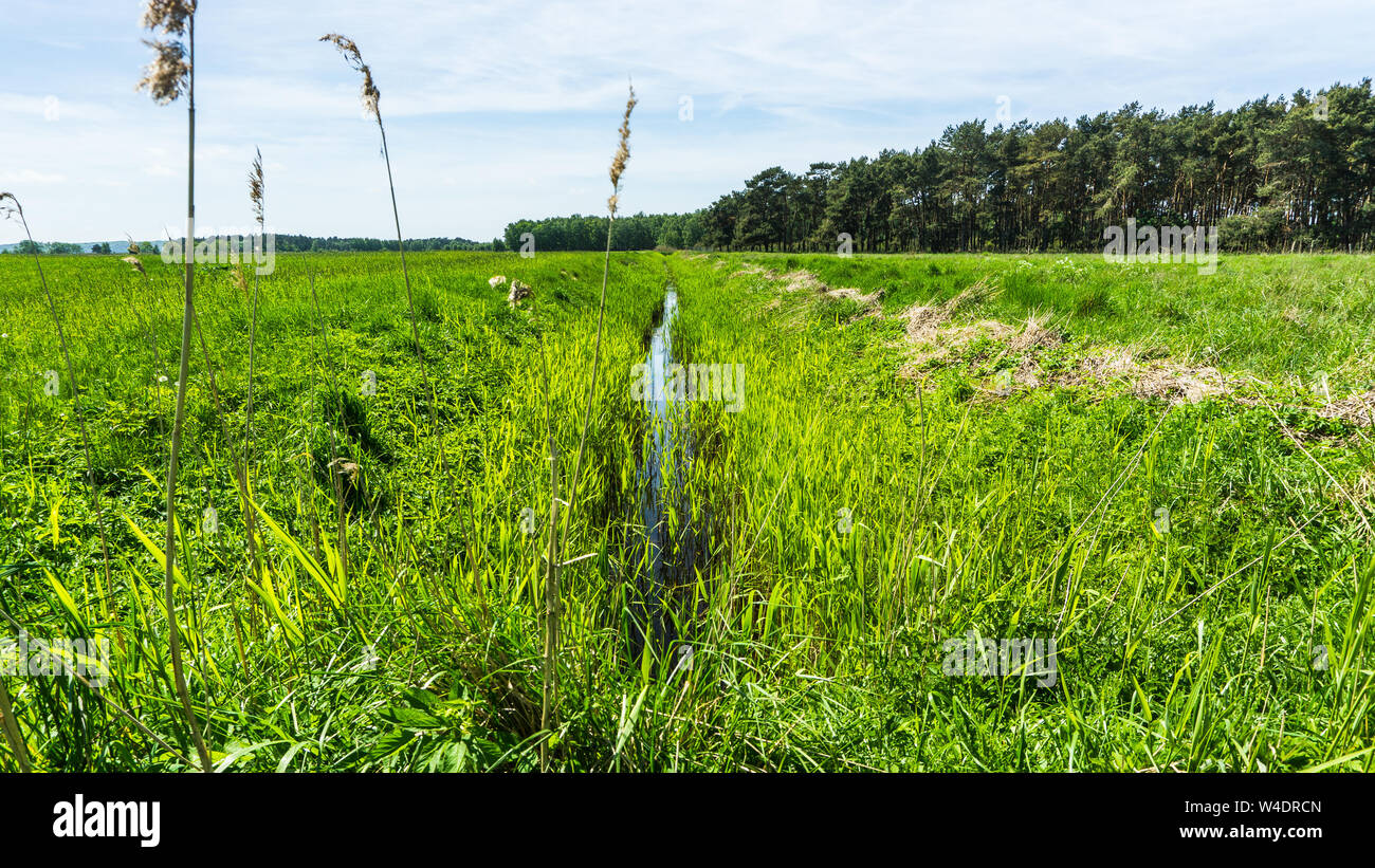 Field drain hi-res stock photography and images - Alamy