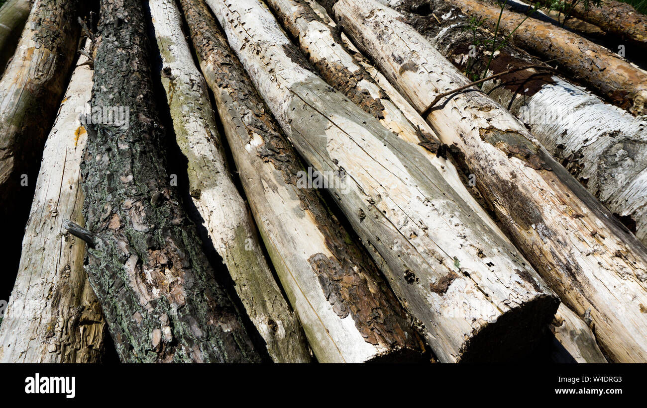 Roundwood hi-res stock photography and images - Alamy