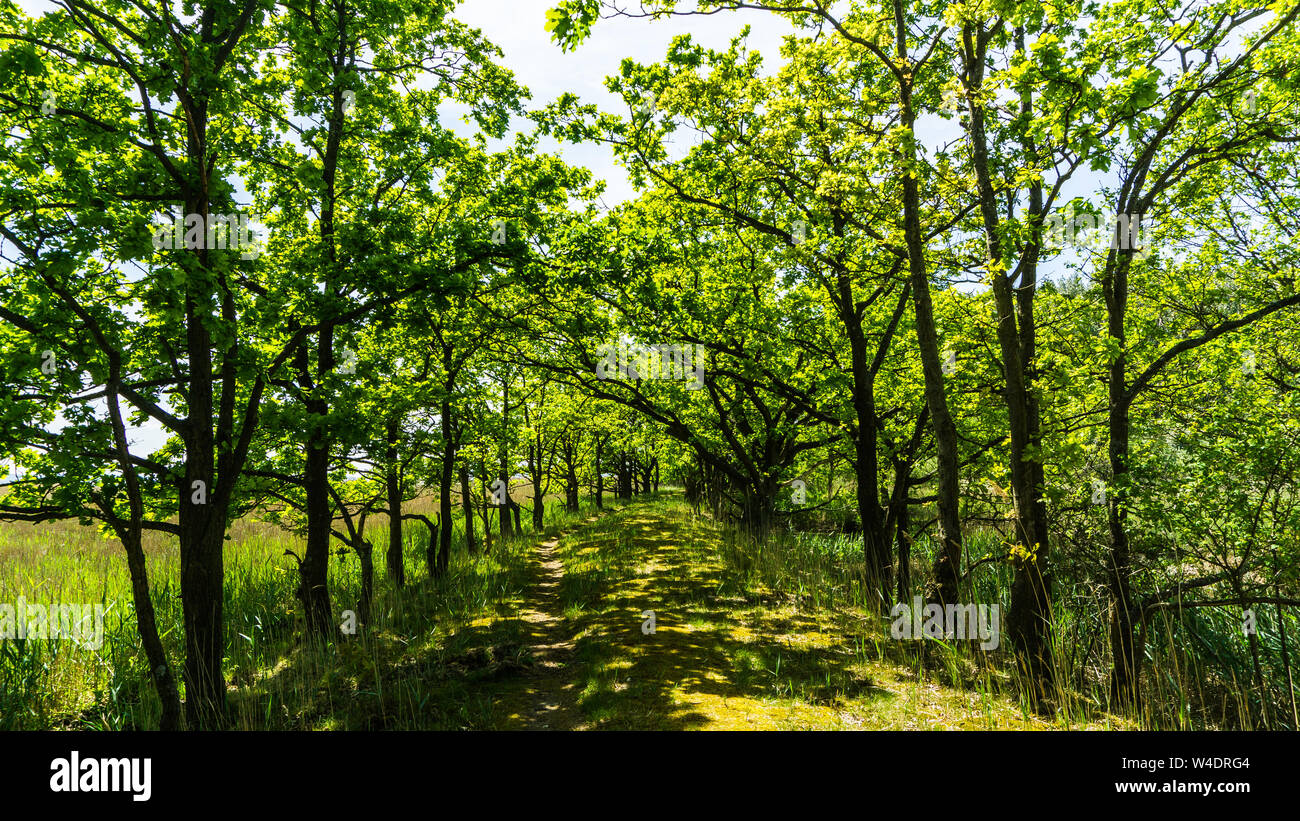 hiking path - landscape Stock Photo - Alamy